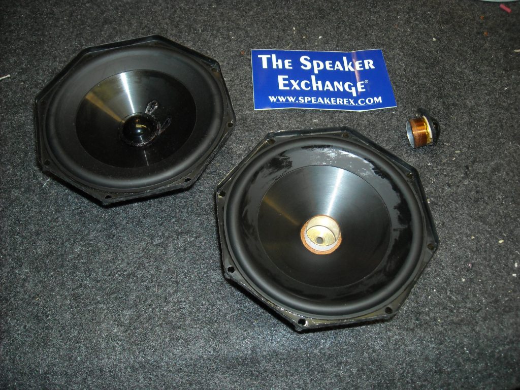 DCM Time Window 6″ Recone - The Speaker Exchange